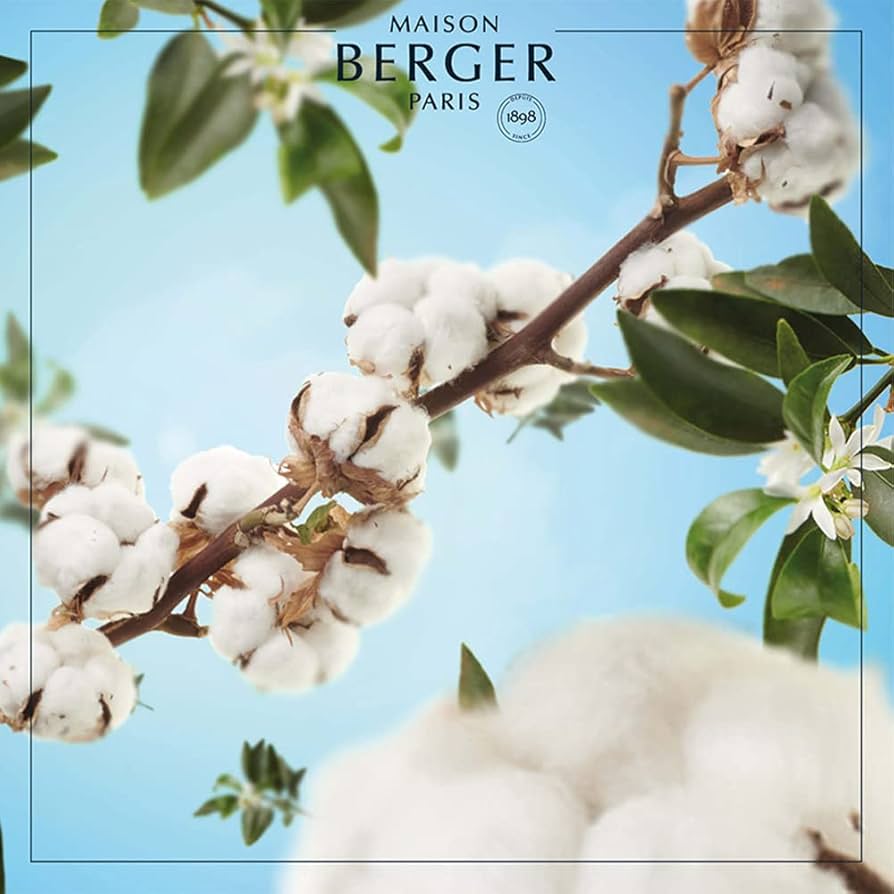 Berger Lampe Dufte